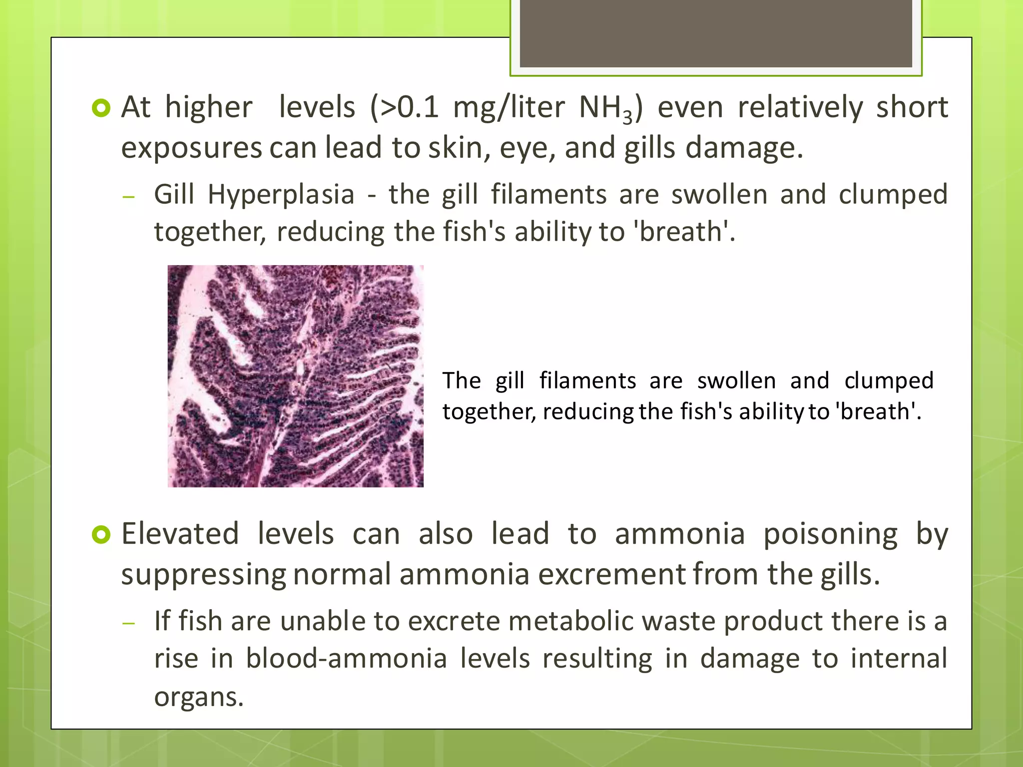 Chemical parameters of soil & water on fish health | PDF