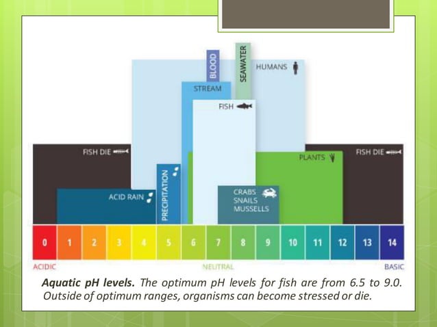 Chemical parameters of soil & water on fish health | PDF