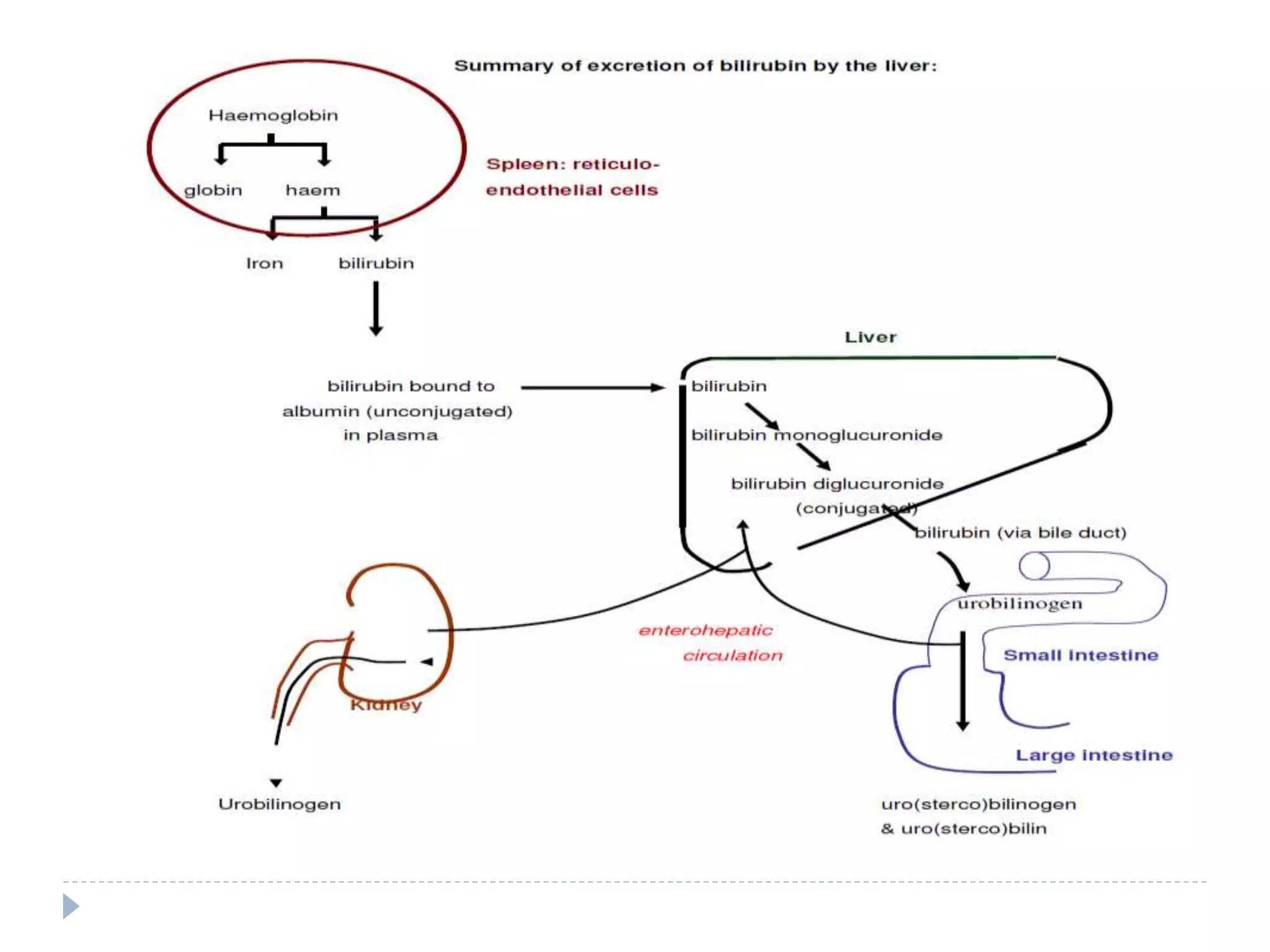 CHEMICAL PATHOLOGY OF LIVER DISEASE.pptx