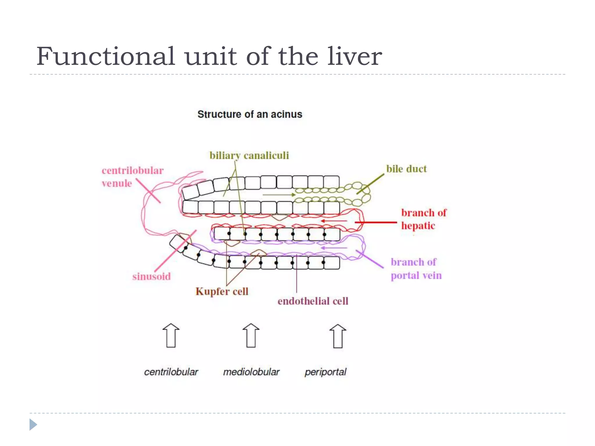 CHEMICAL PATHOLOGY OF LIVER DISEASE.pptx