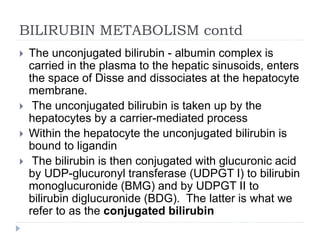 CHEMICAL PATHOLOGY OF LIVER DISEASE.pptx
