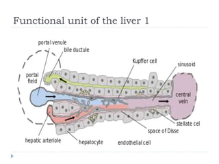 CHEMICAL PATHOLOGY OF LIVER DISEASE.pptx