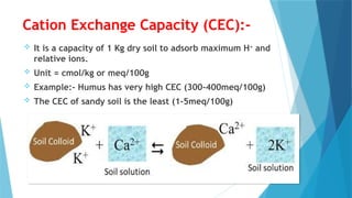chemical profile next soils an types of soil.pptx
