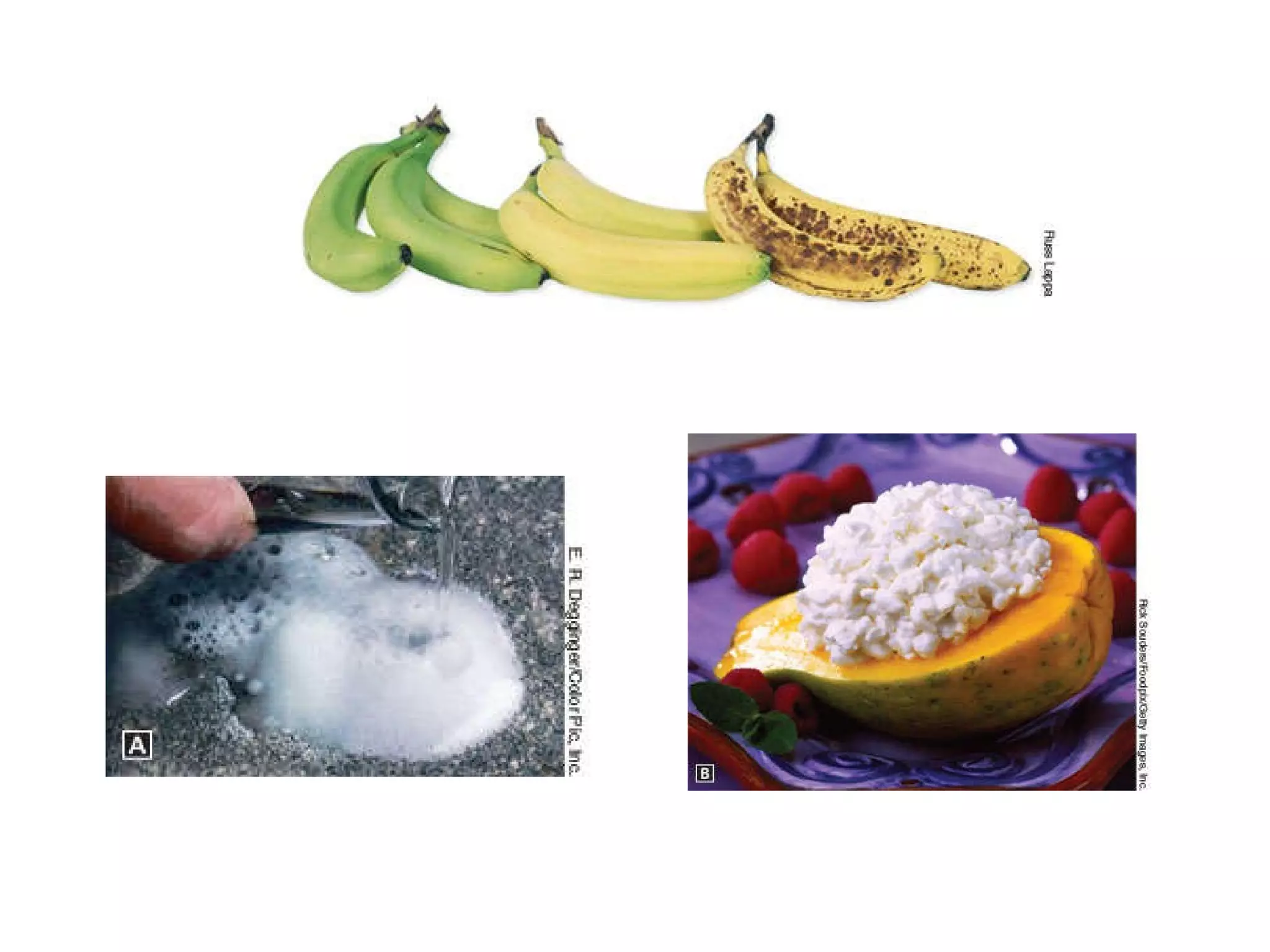 Chemical properties | PPT