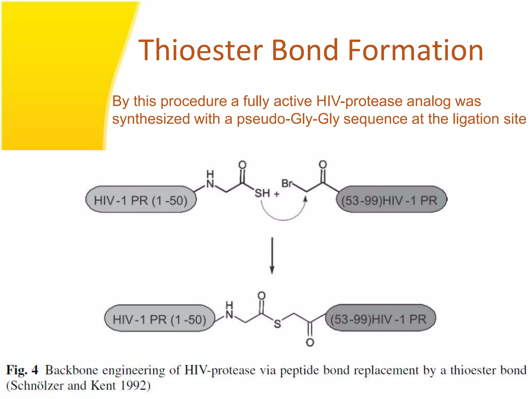 Chemical protein engineering synthetic and semisynthetic | PPTX ...