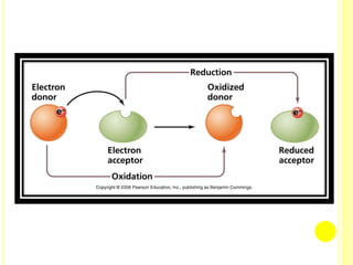 Chemical reaction | PPT