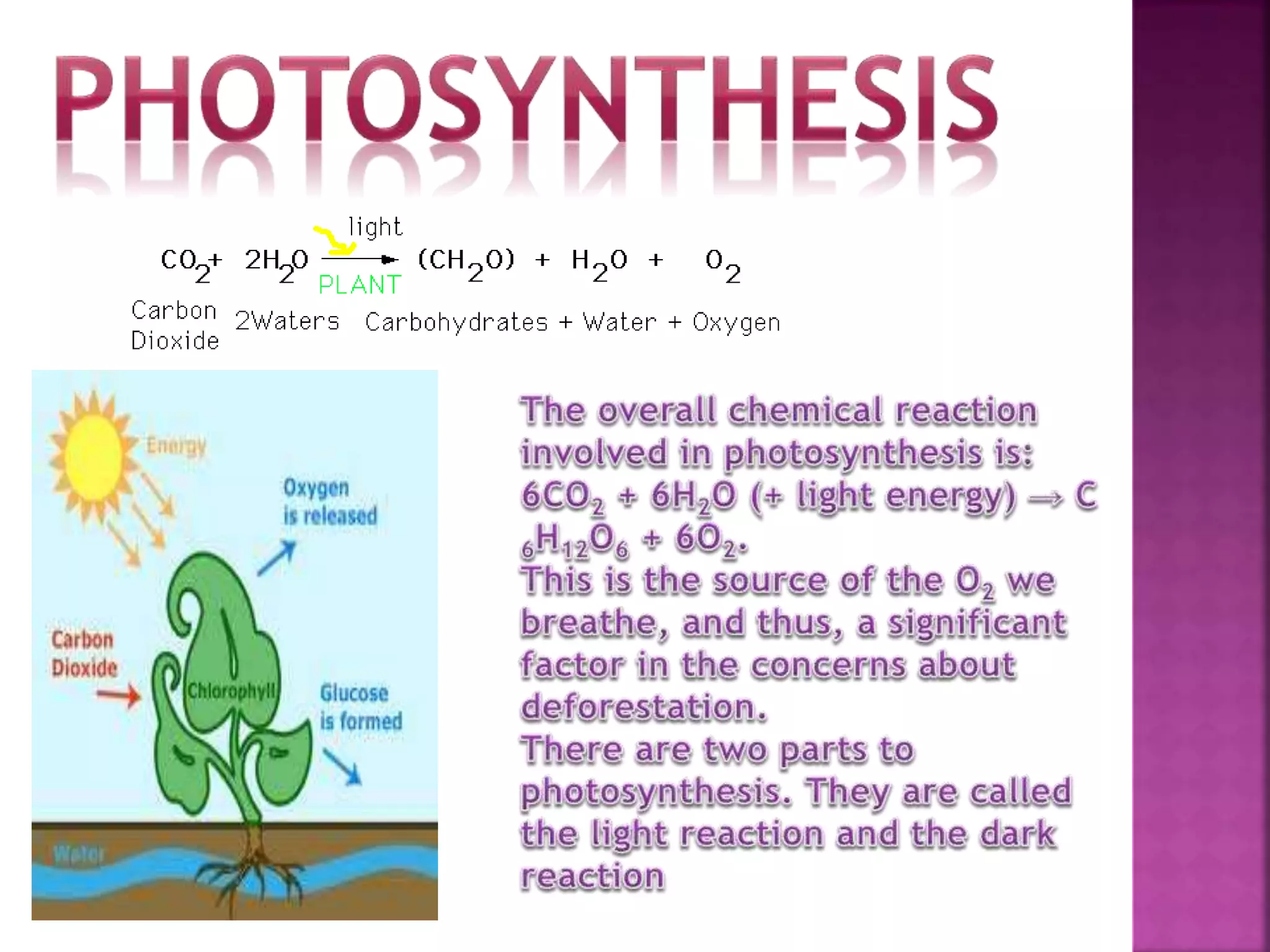 Chemical reactions in daily life | PPTX