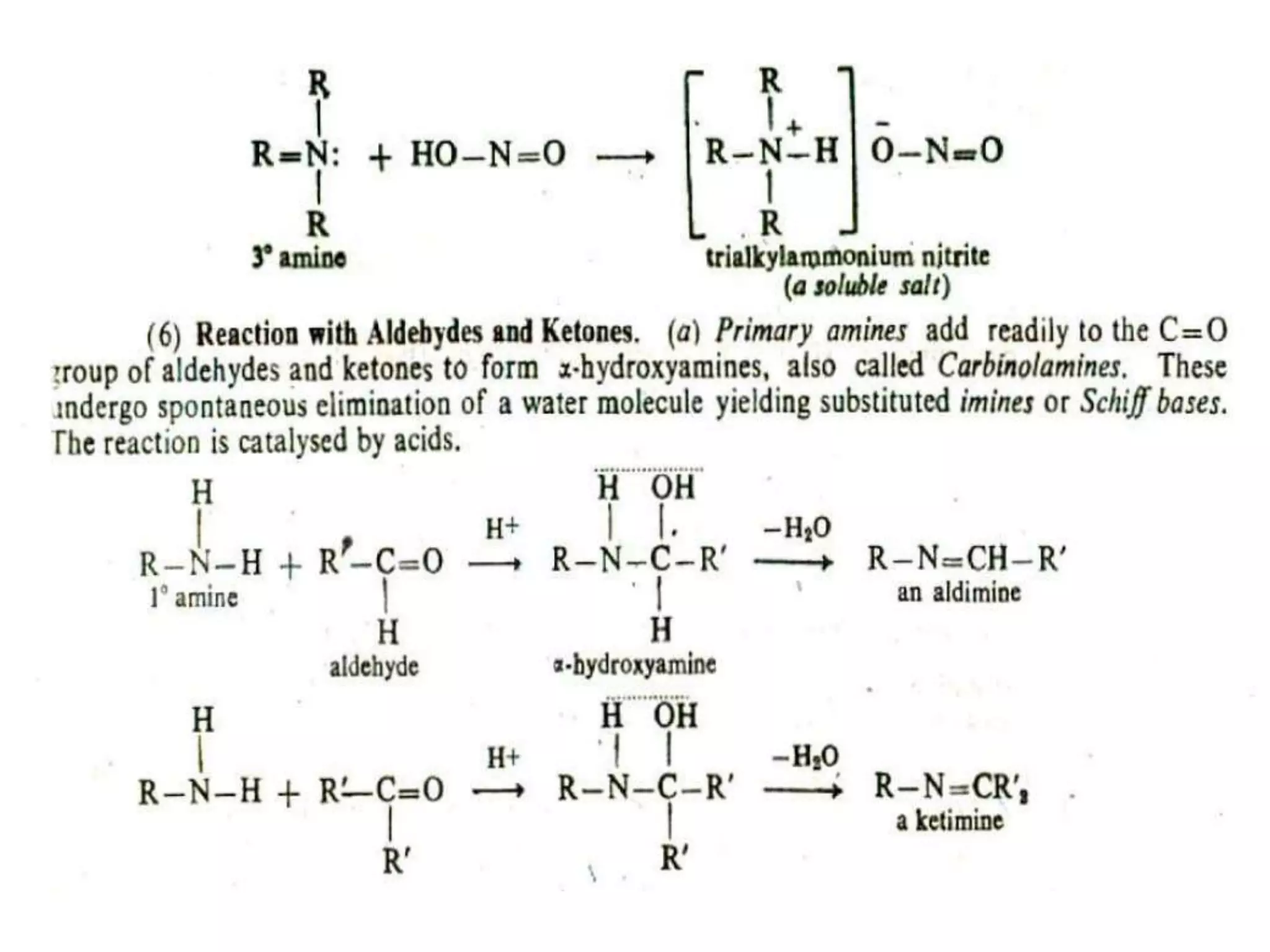 Chemical Reactions of Amines.ppt