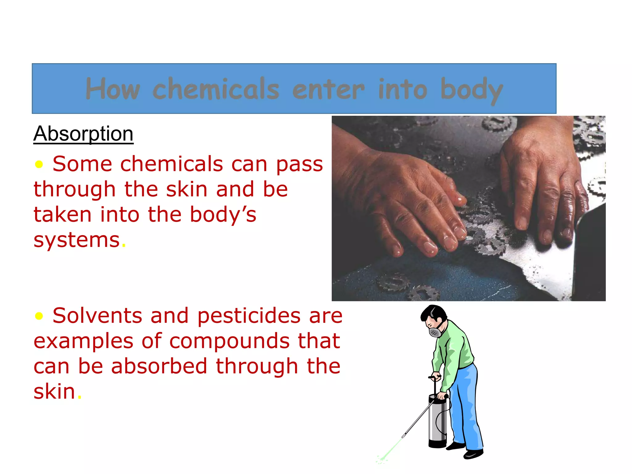 Chemical safety.pptx