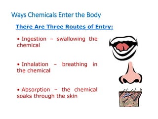 Chemical safety.pptx