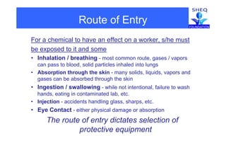Chemical Safety | PDF