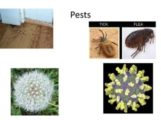 Chemicals around the home | PPTX