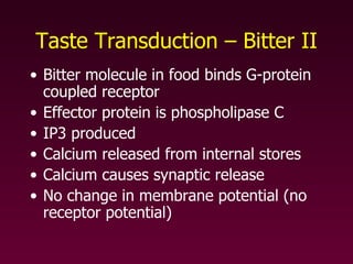 Chemical Senses | PPT