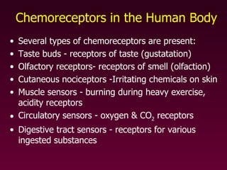 Chemical Senses | PPT