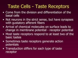 Chemical Senses | PPT
