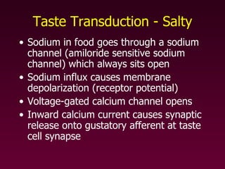 Chemical Senses | PPT