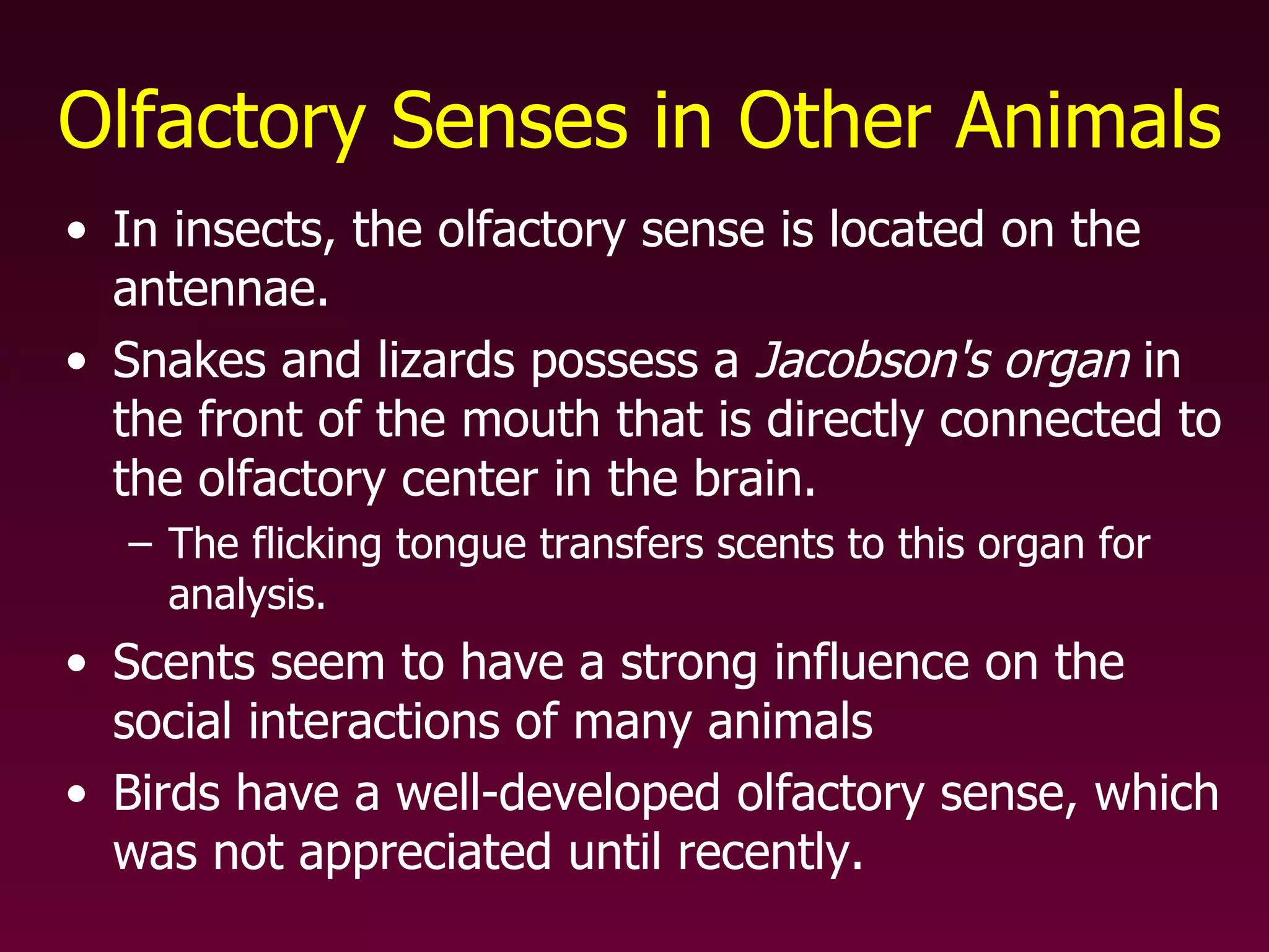 Chemical Senses | PPT