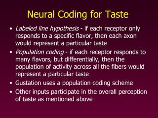 Chemical Senses | PPT