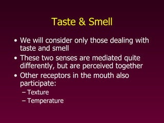 Chemical Senses | PPT