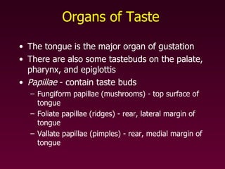 Chemical Senses | PPT