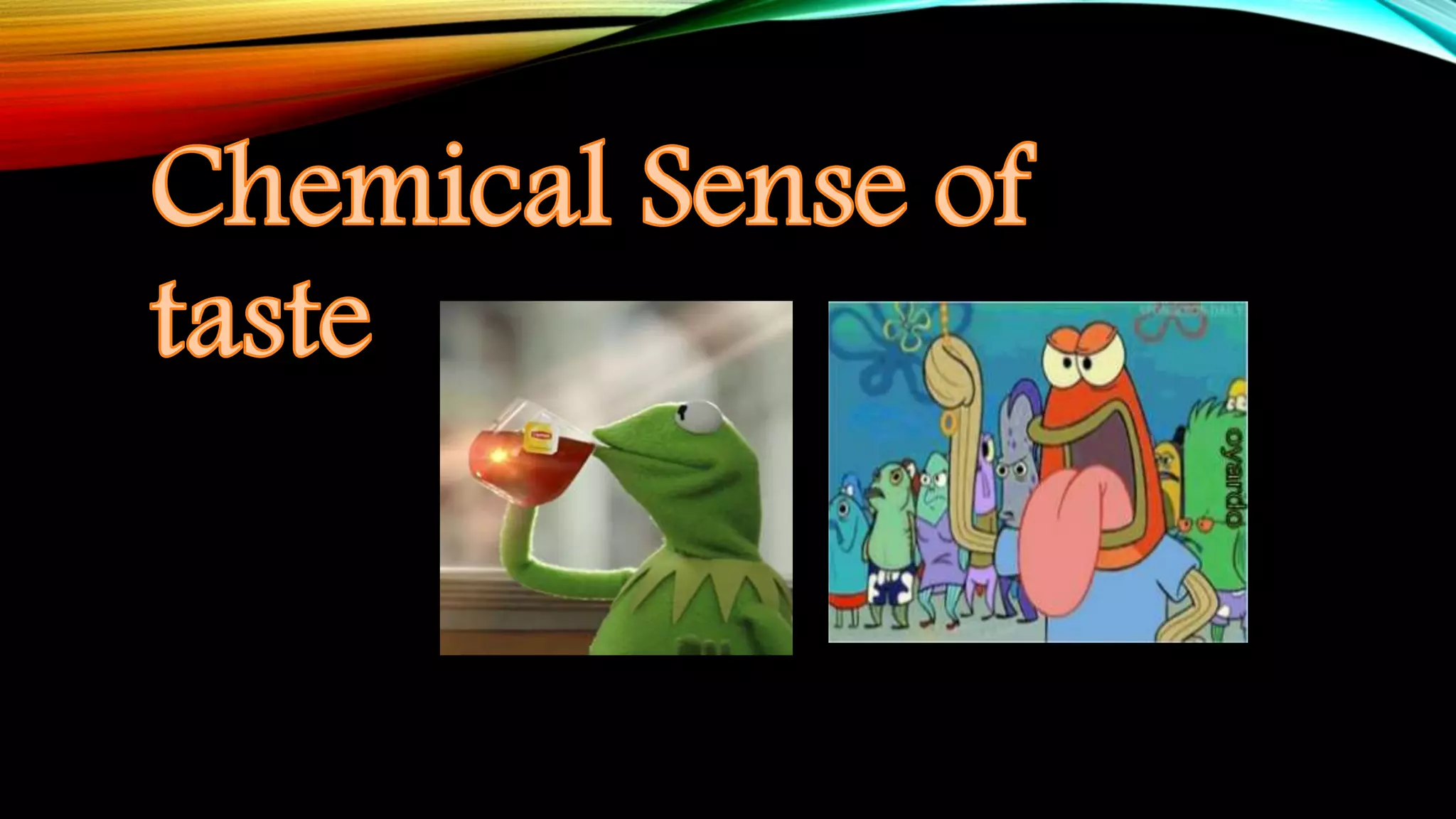 Chemical senses :- Taste and Smell | PPTX