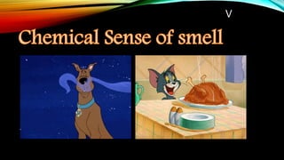 Chemical senses :- Taste and Smell | PPTX