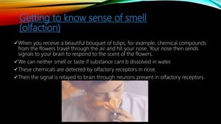 Chemical senses :- Taste and Smell | PPTX