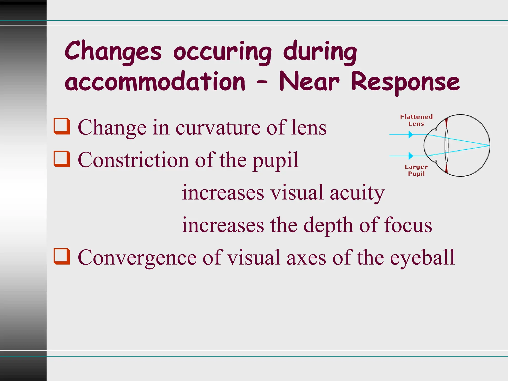 chemical senses.ppt anatomy and physiology | PPT