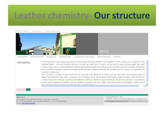 Chemicals for leather | PDF | Chemistry | Science