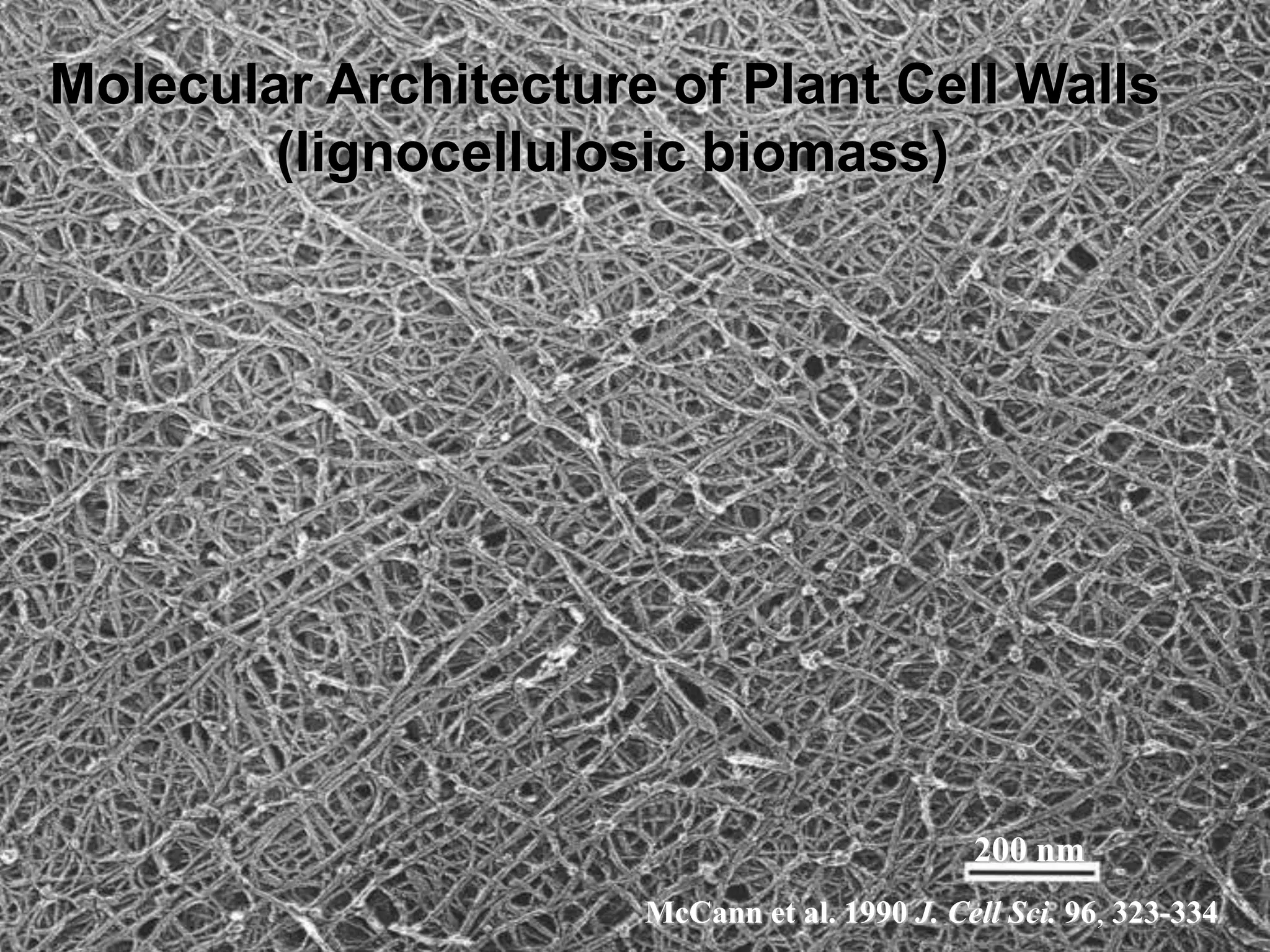 biological and catalytic chemicals from cellulose.ppt
