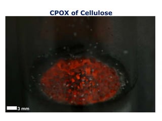 biological and catalytic chemicals from cellulose.ppt