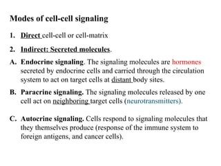 presentation on Chemical_signaling lecture.ppt