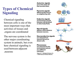 presentation of Chemical_signaling lecture .ppt