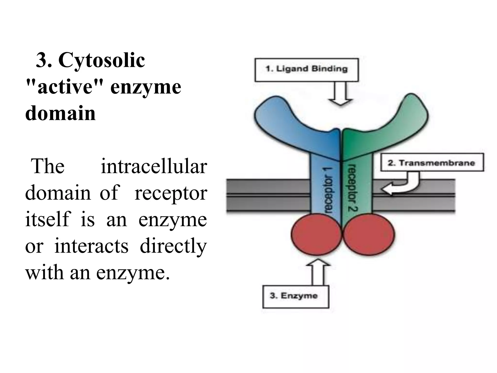 Chemical Signalling.pptx