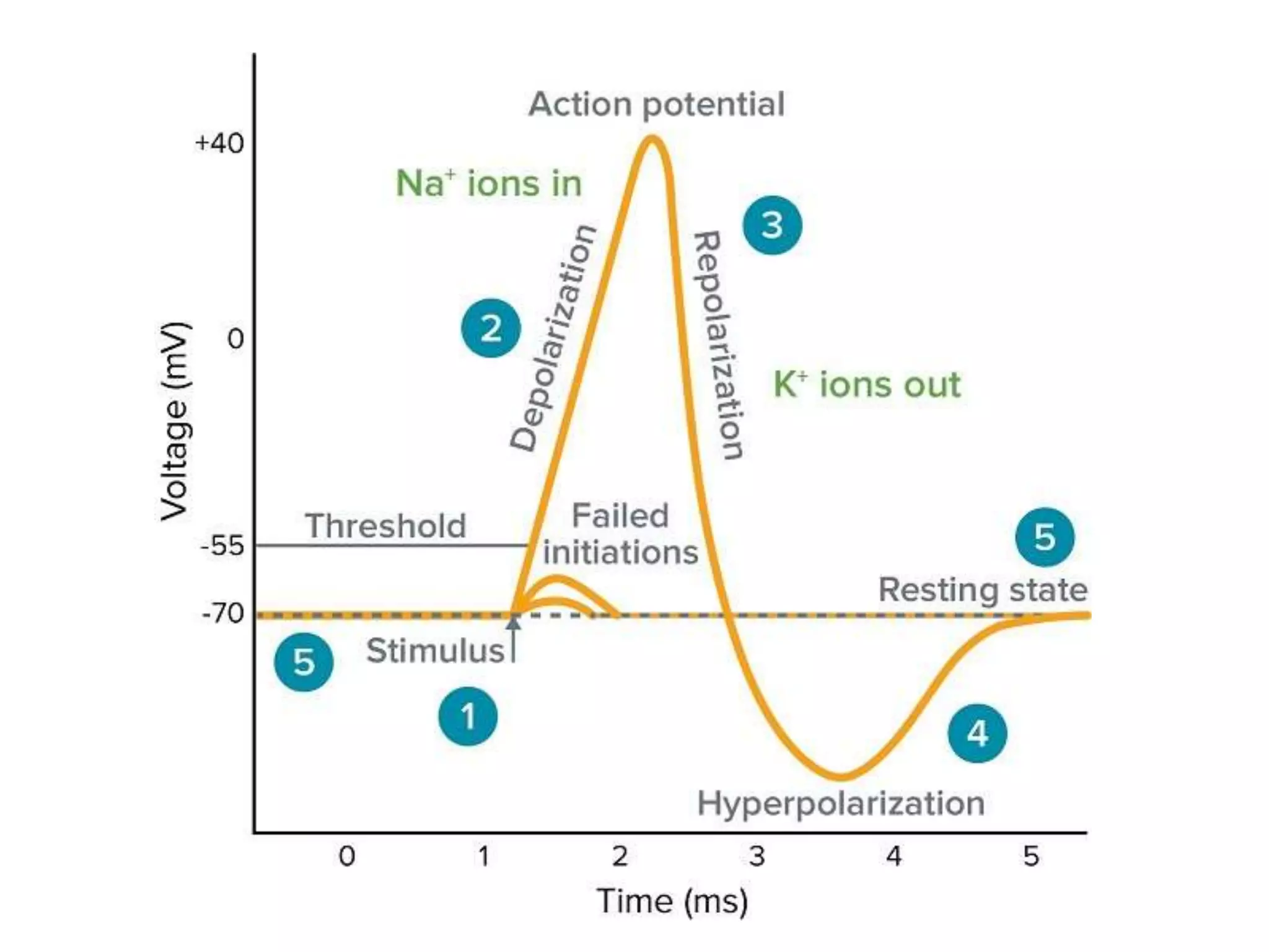 Chemical Signalling.pptx