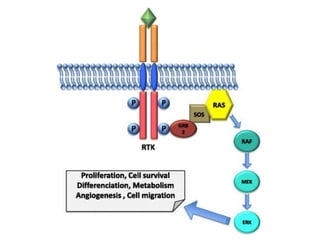 Chemical Signalling.pptx