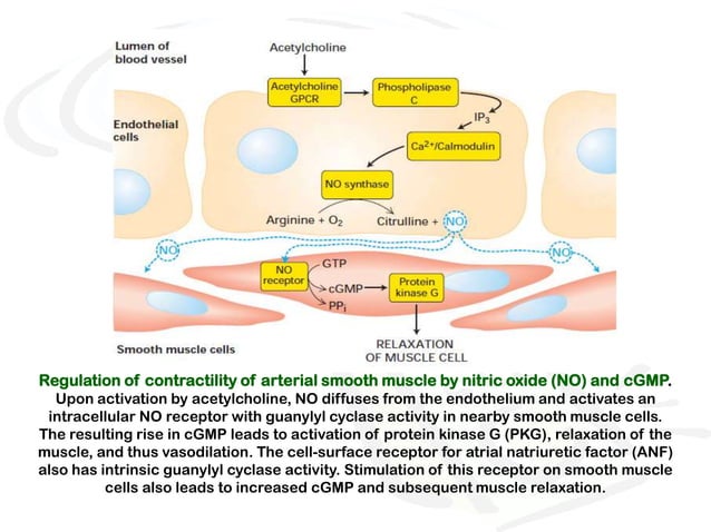 Chemical signals | PPT