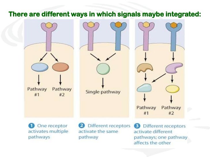 Chemical signals