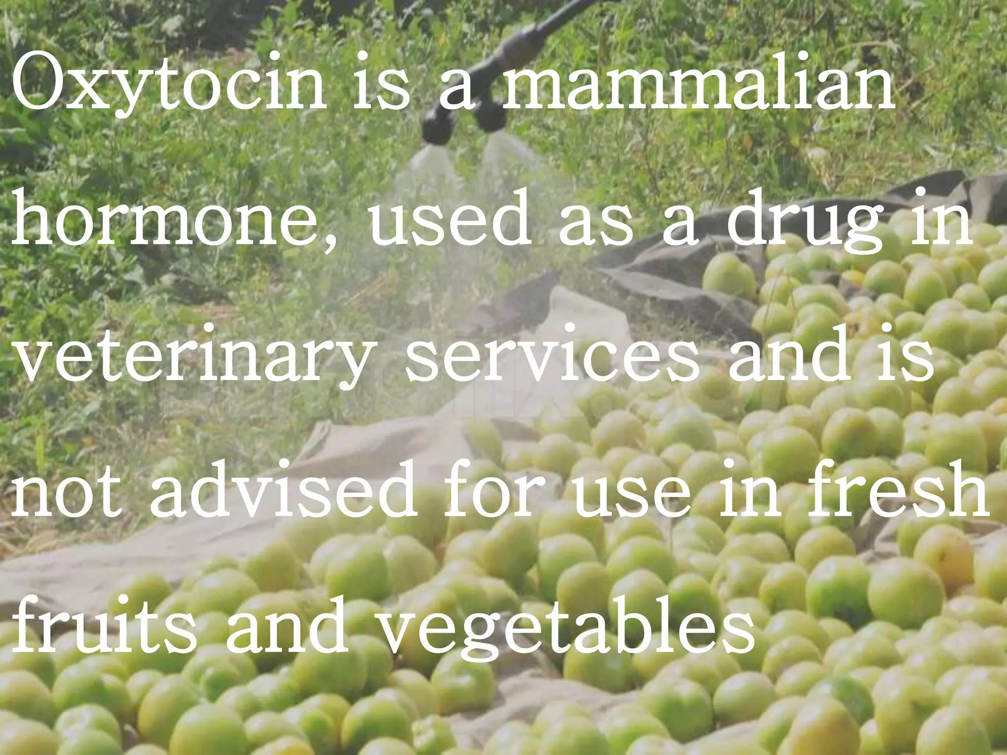 Chemicals in fruits and vegetables | PPTX