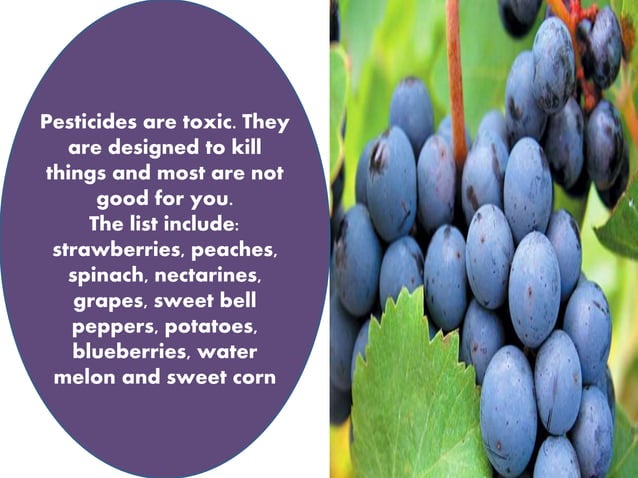 Chemicals in fruits and vegetables | PPTX