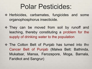 Chemicals in your food | PPTX