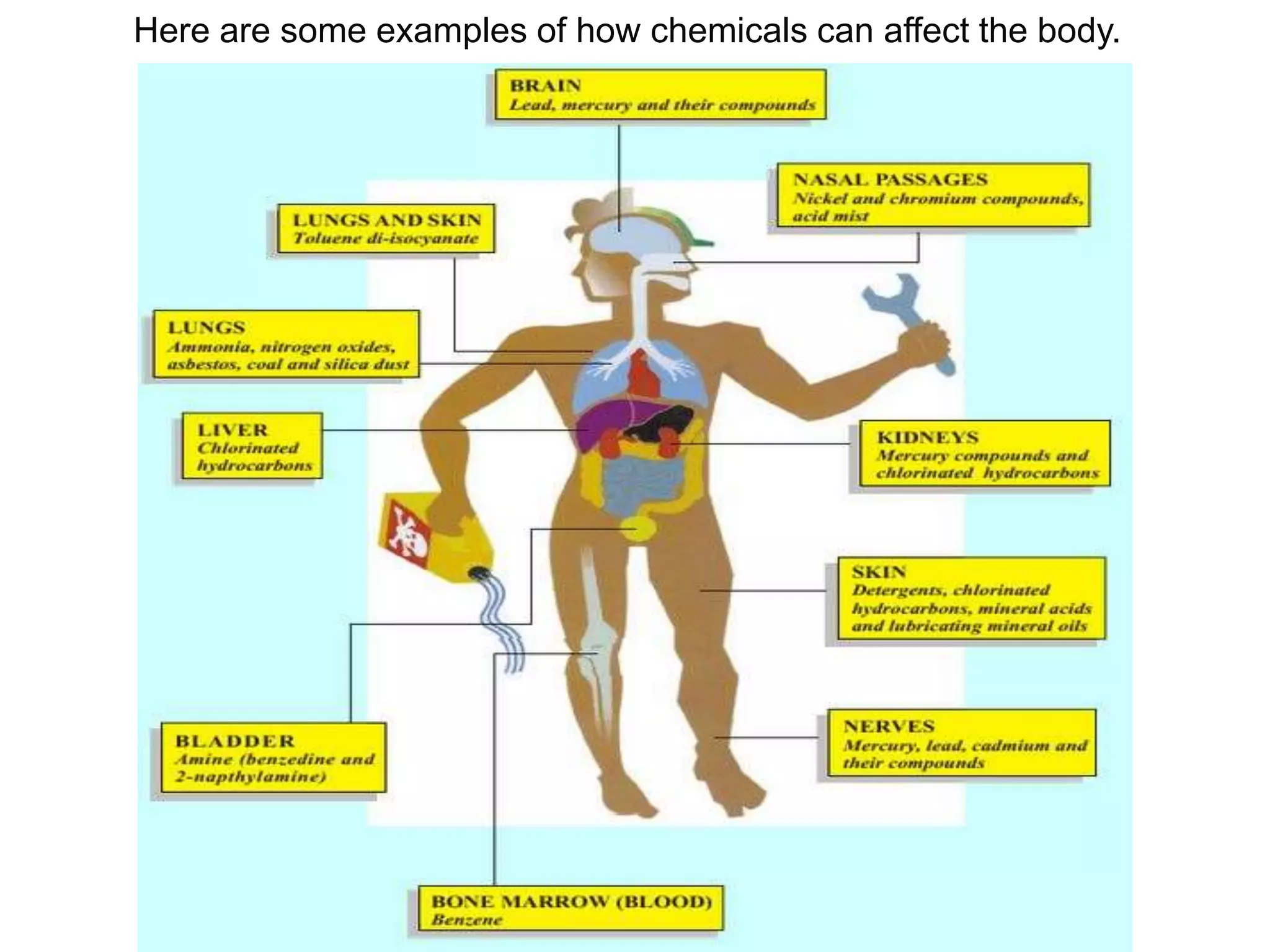 Chemicals Safety Presentation | PPTX