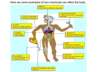 Chemicals Safety Presentation | PPTX