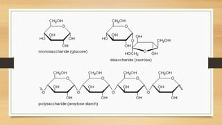 Chemical structure of food | PPTX