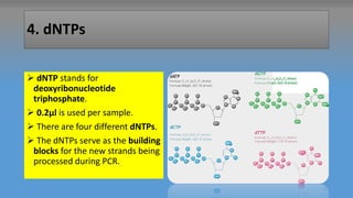 Chemicals used in pcr | PPTX
