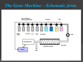 Chemical synthesis of DNA By Prabhu Thirusangu | PPTX