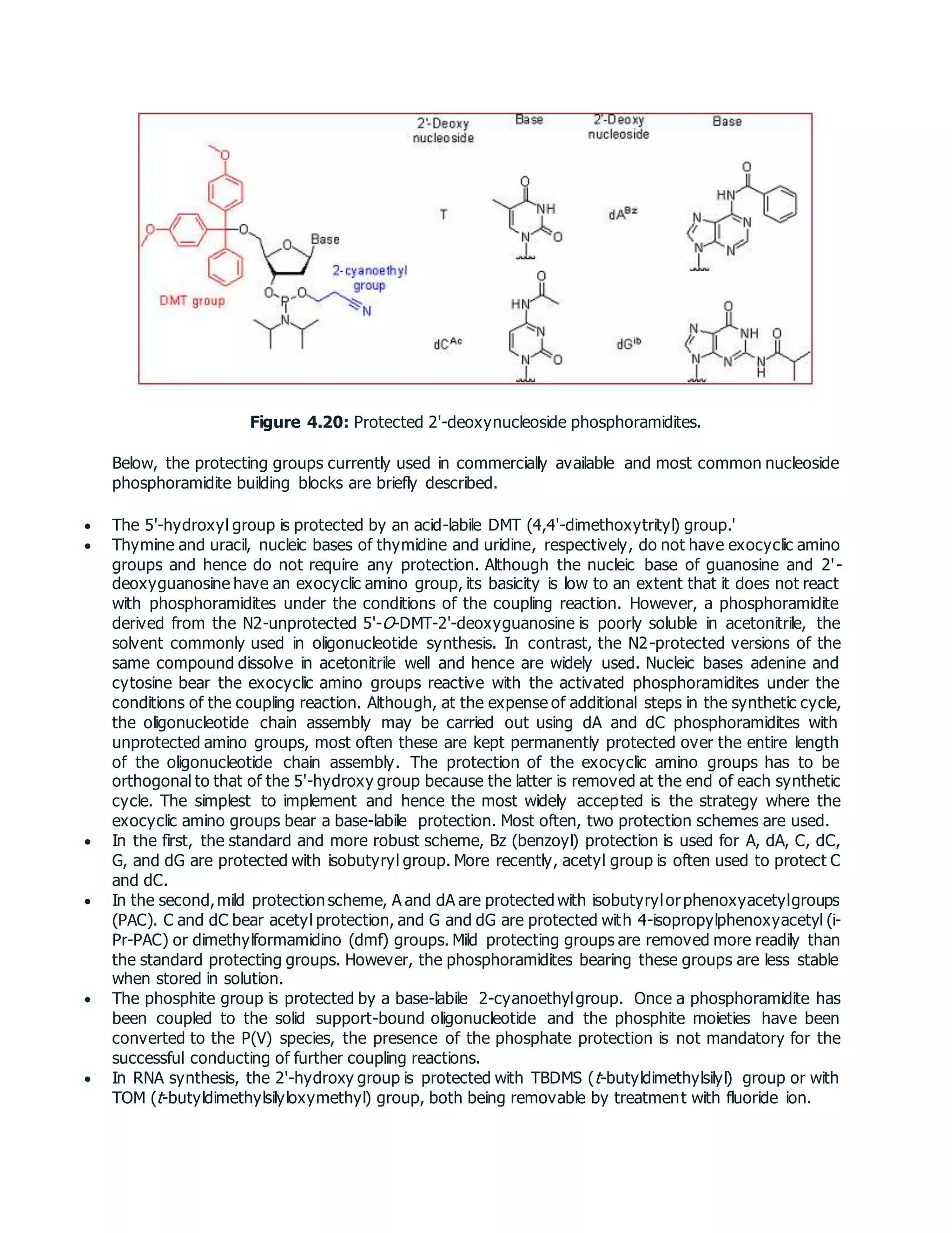 Chemical synthesis of dna | DOCX