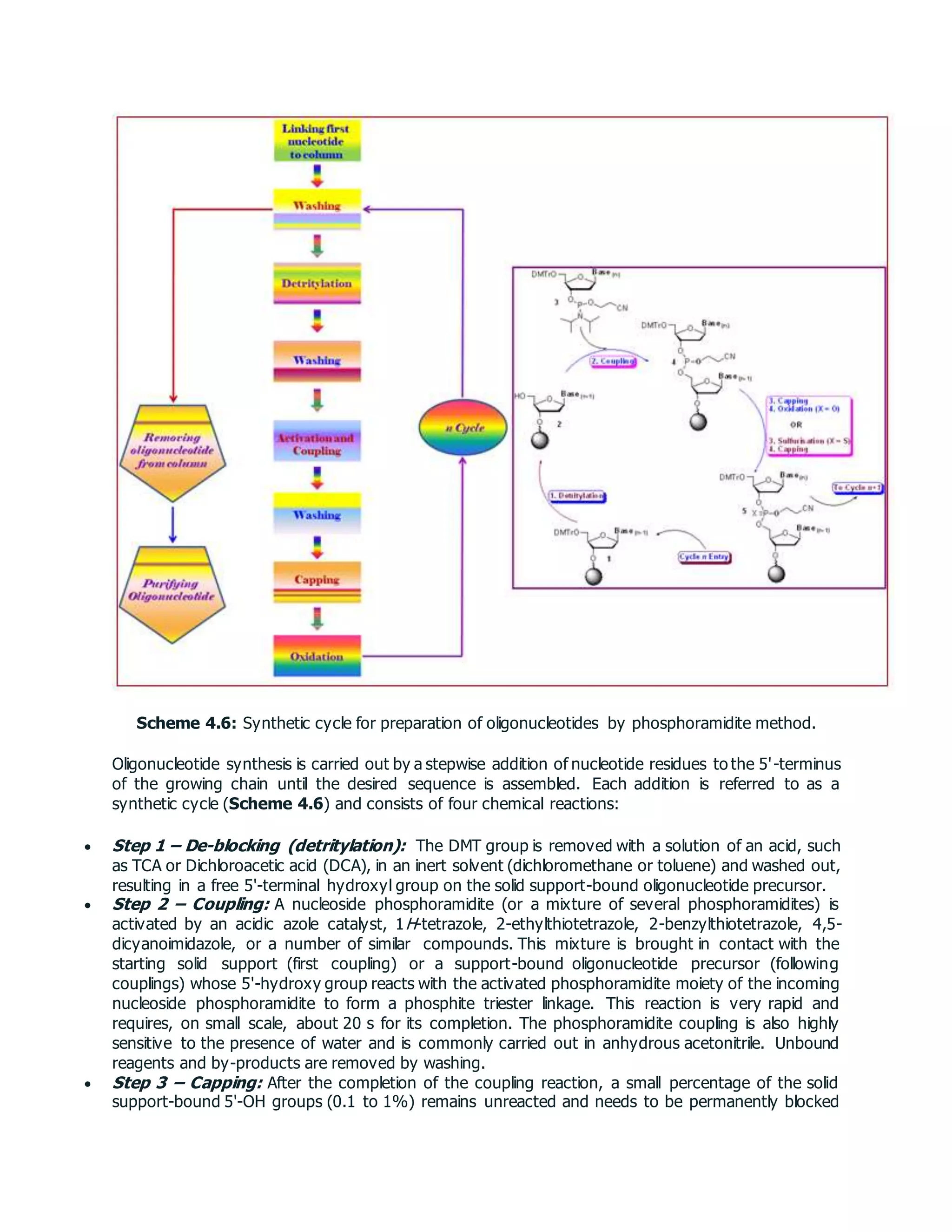 Chemical synthesis of dna | DOCX