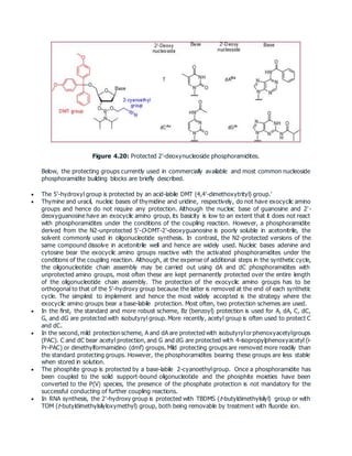 Chemical synthesis of dna | DOCX