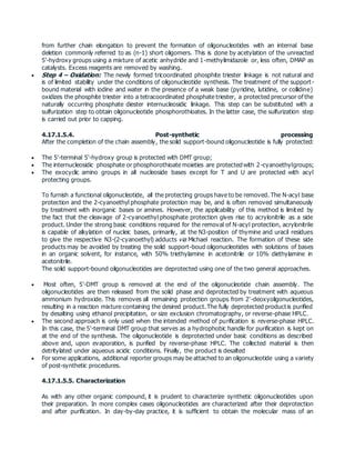 Chemical synthesis of dna | DOCX